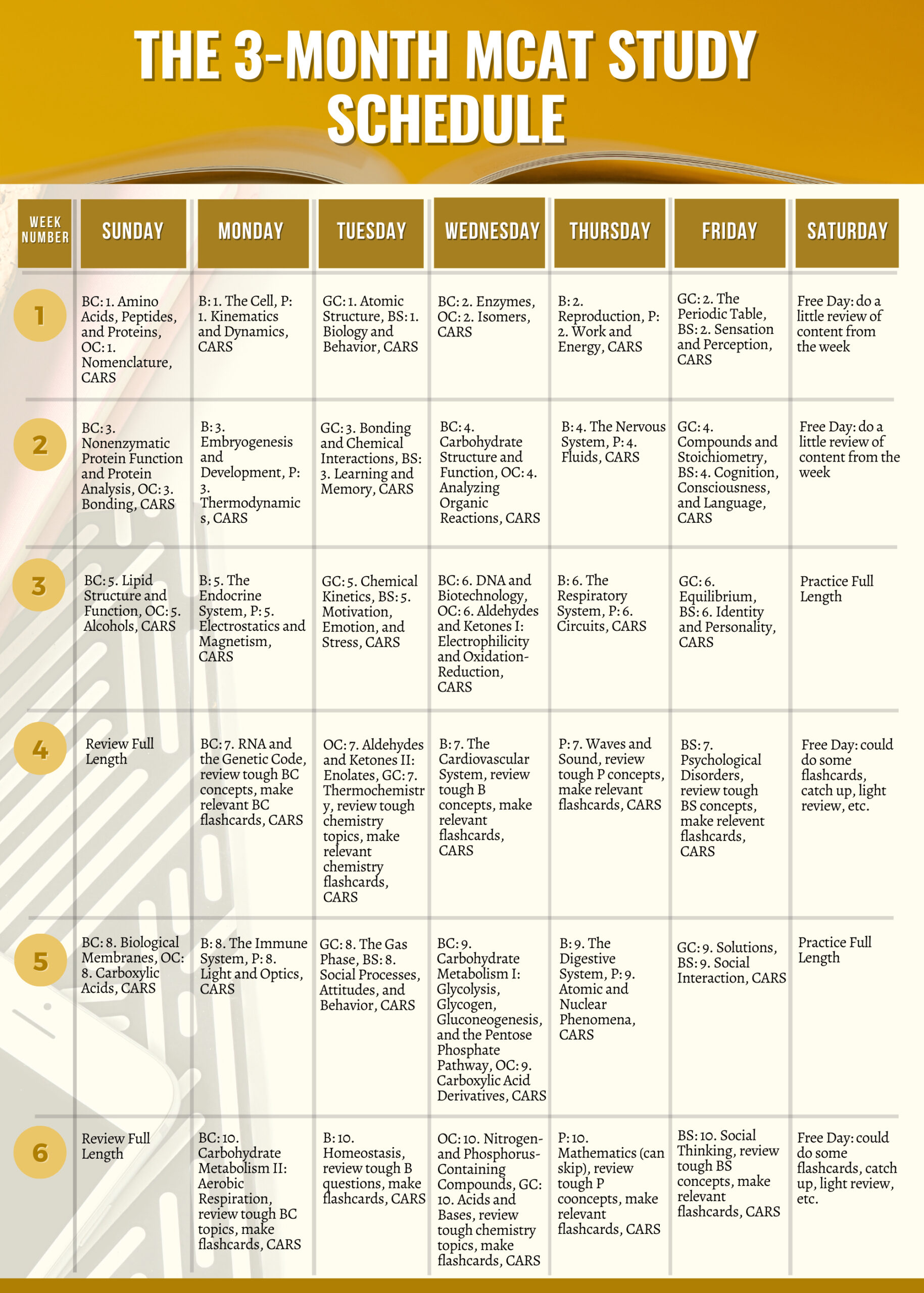 Mcat Study Schedule Excel Template